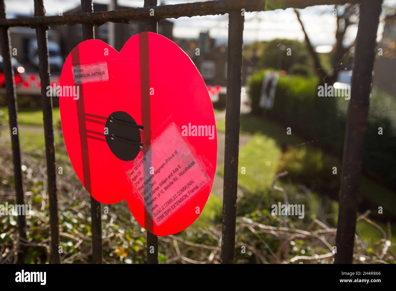 Poppy Day memorials at the war memorial in Shelf, West Yorkshire ...
