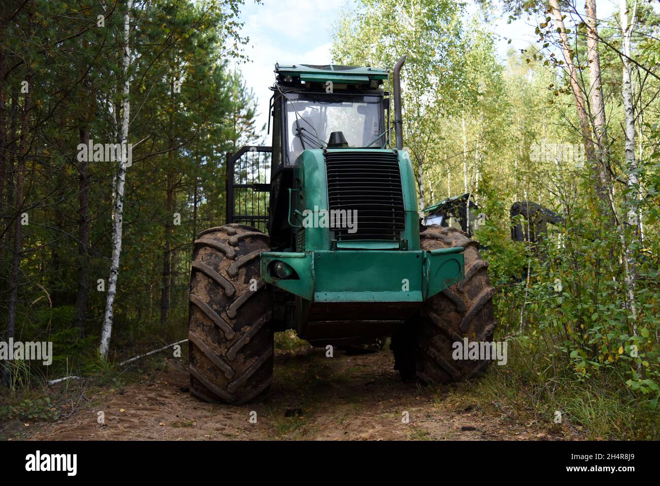 Crane forwarder machine during clearing of forested land. Wheeled ...