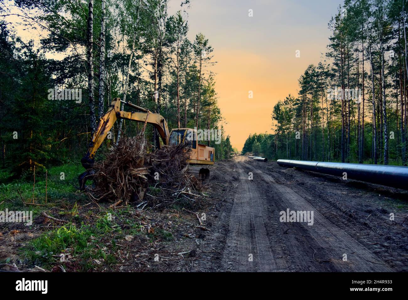 Excavator Clamp Bucket Grapple during clearing forest. Natural gas ...