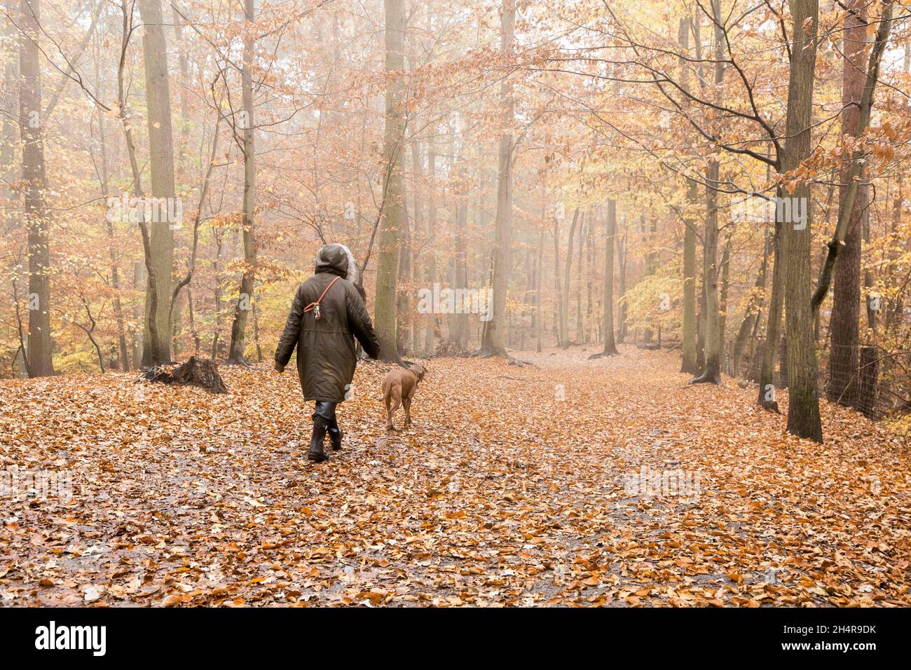 Berlin, Deutschland. 04th Nov, 2021. recorded in Grunewald in Berlin ...