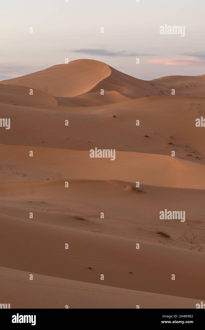 Mesmerizing view of the sand dunes in an arid desert Stock Photo - Alamy