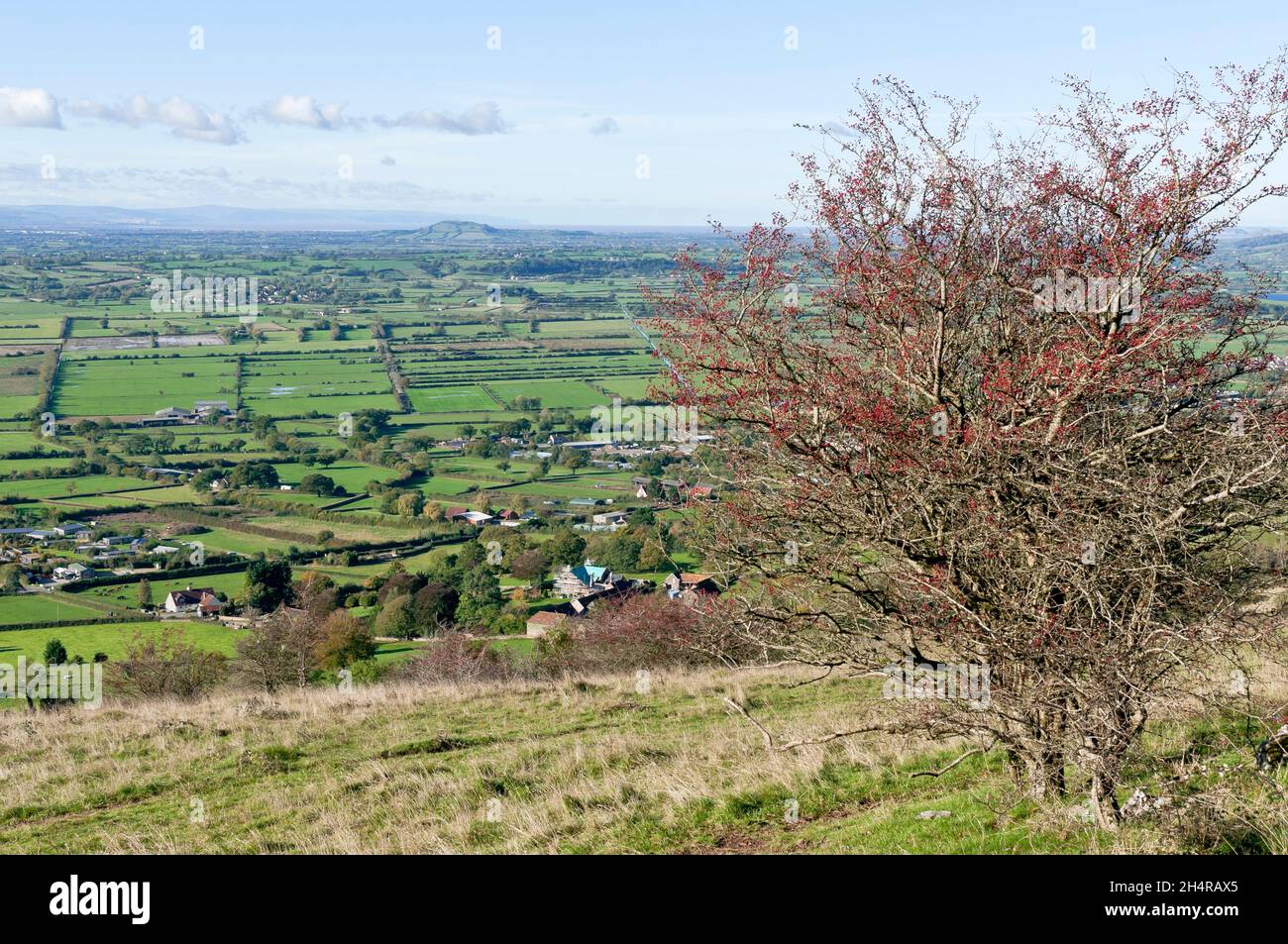 Autumn landscape, Draycott Sleights, Near Cheddar, Somerset, England ...