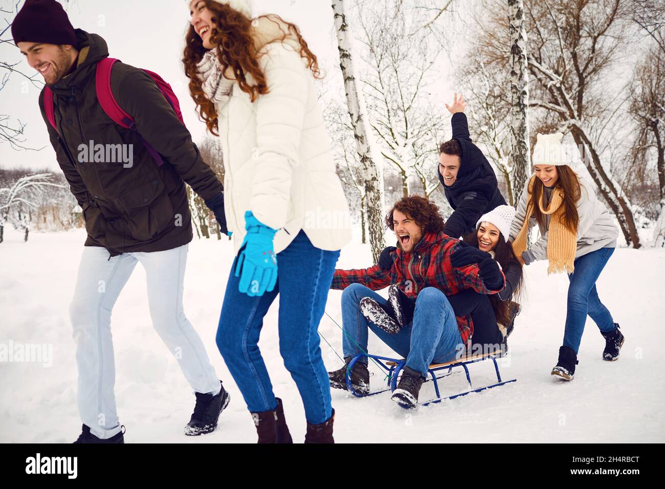 Group of friends enjoying pulling a sled in the snow in winter Stock ...