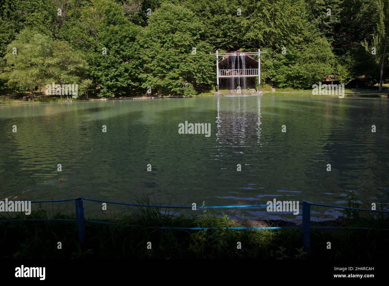 Azerbaijan Gabala . Green forest by the lake in reflection in the water ...