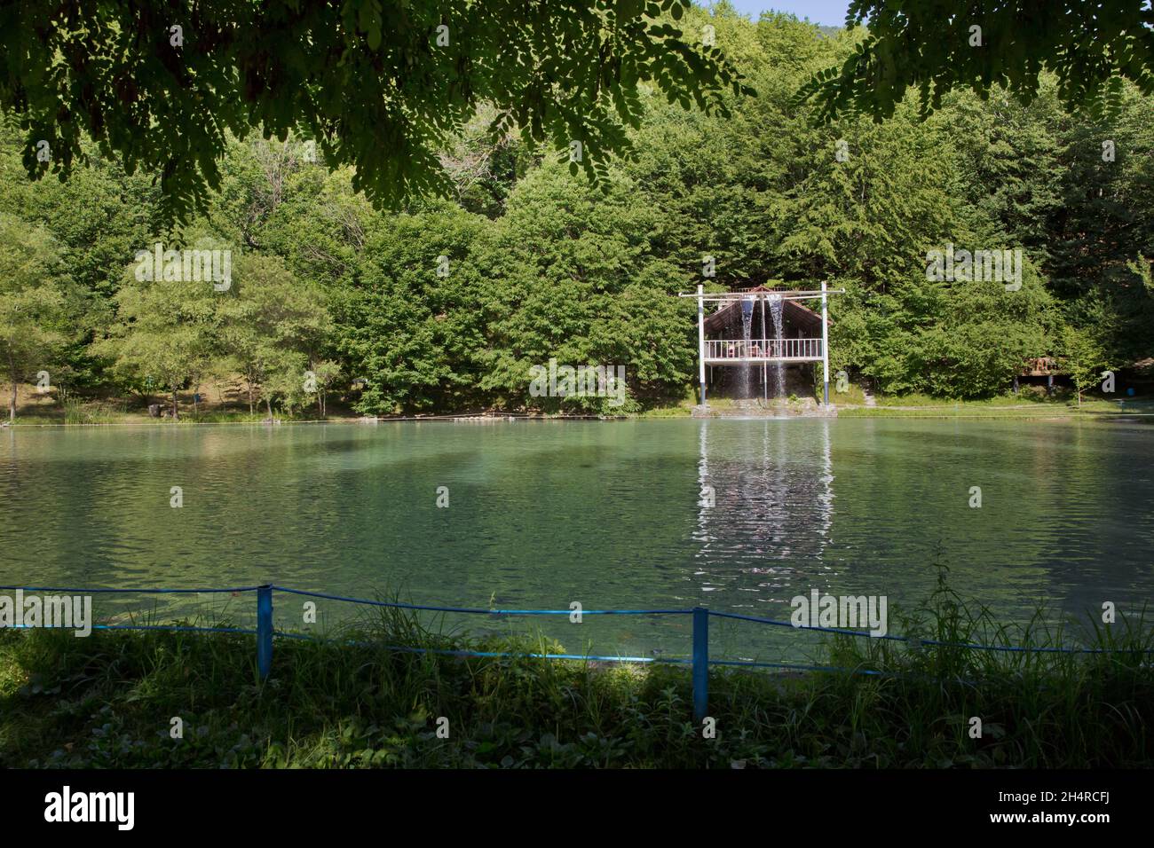Azerbaijan Gabala . Green forest by the lake in reflection in the water ...