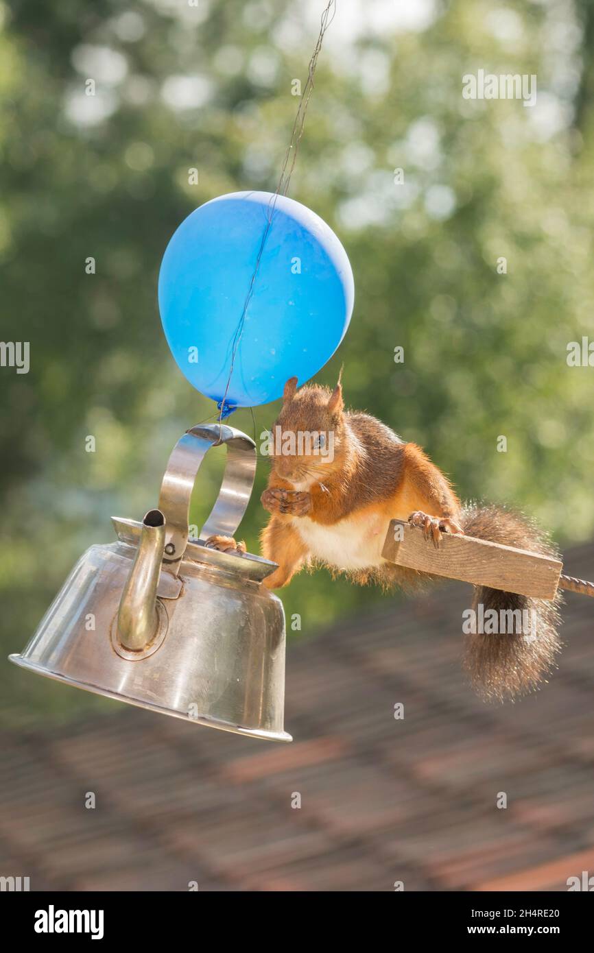 Balloon kettle hi-res stock photography and images - Alamy