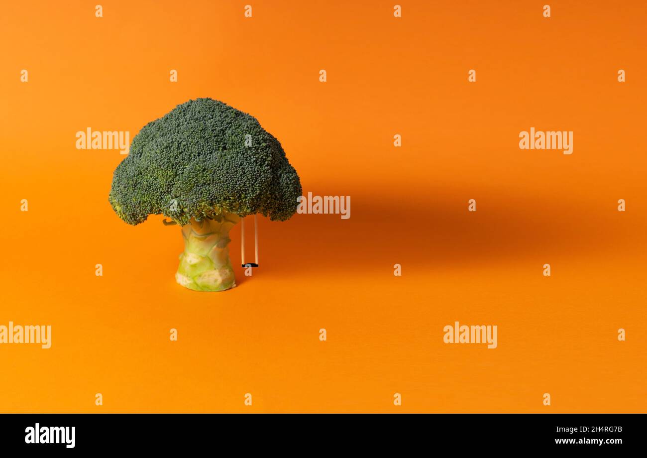 Miniature Orange Tree High Resolution Stock Photography and Images - Alamy
