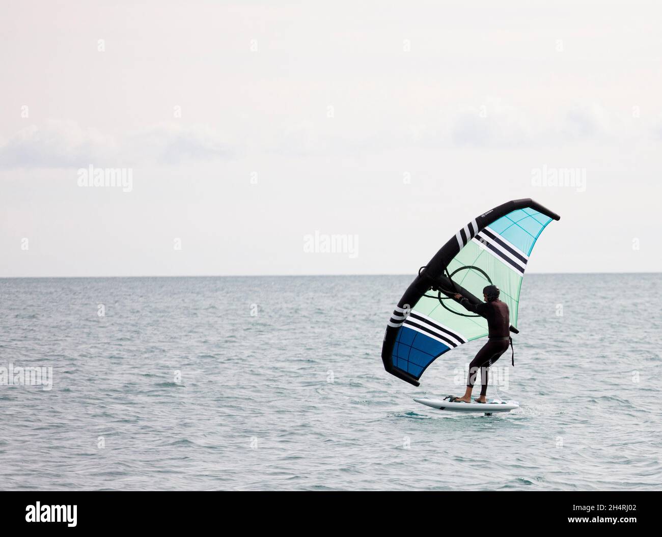 sportsman with wingfoil sailing, in the sea Stock Photo - Alamy