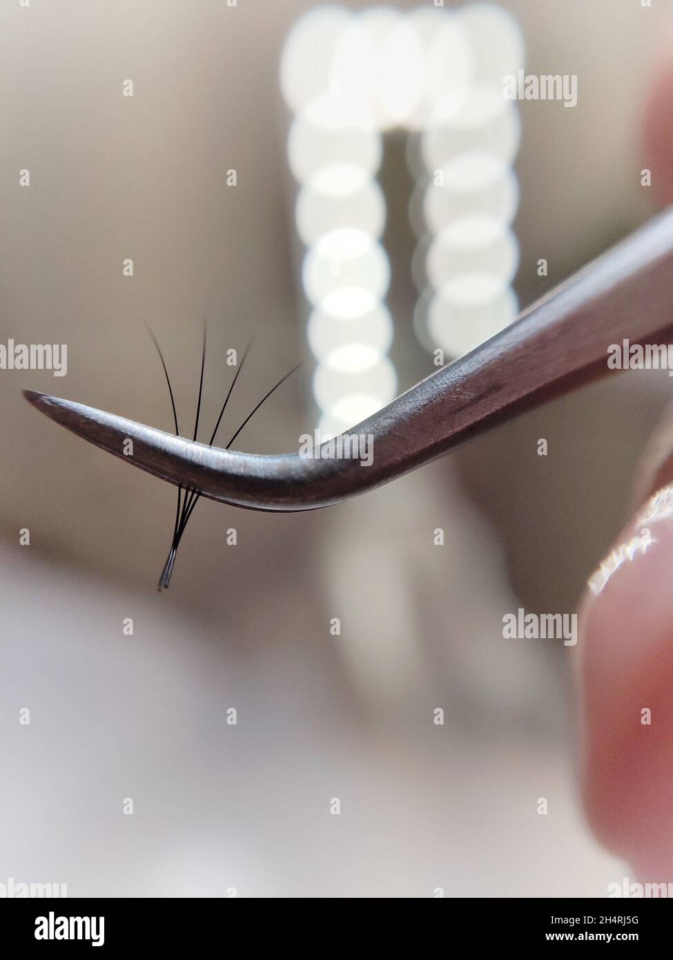 Bunch of fake lashes in tweezers for eyelash extensions Stock Photo - Alamy