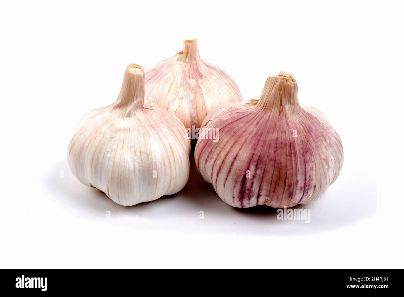three garlic heads isolated on a white background Stock Photo - Alamy