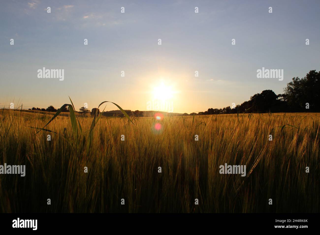 Getting low hi-res stock photography and images - Alamy