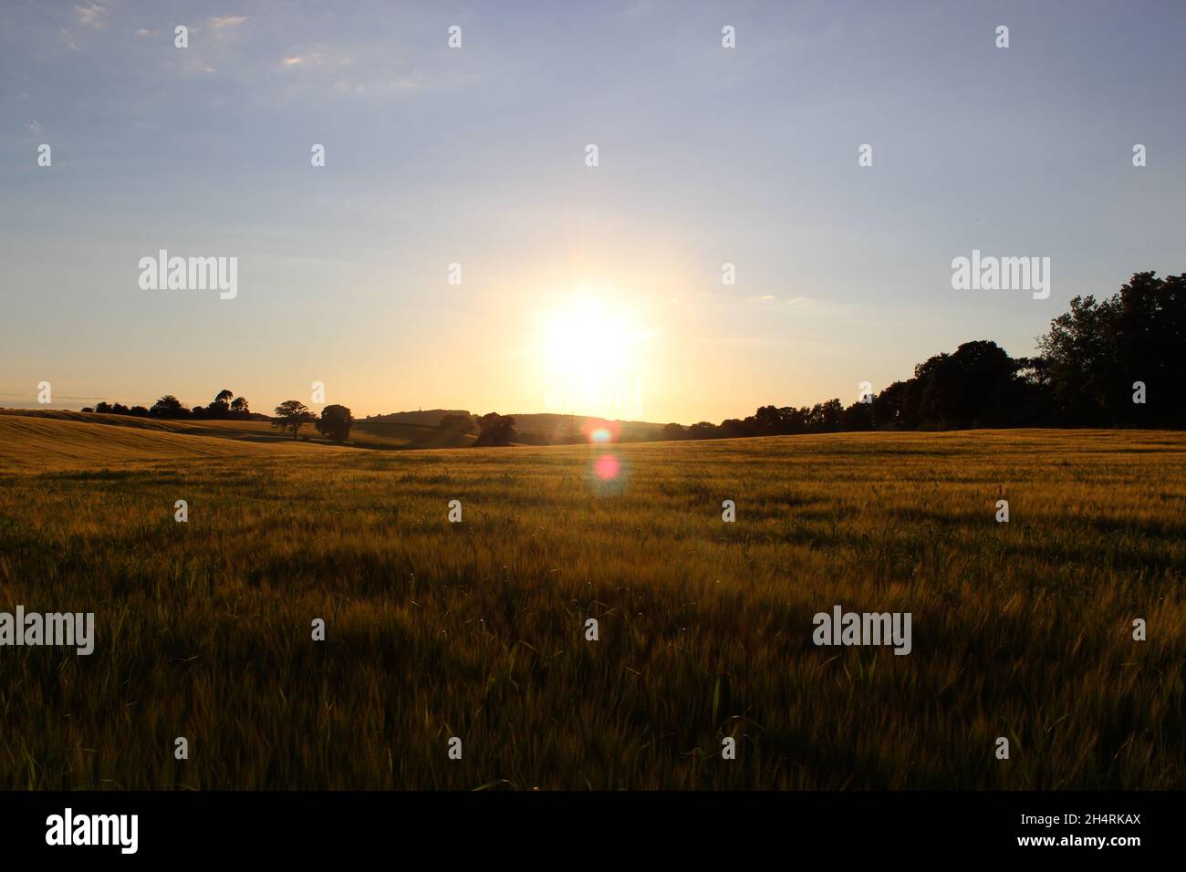 Getting low hi-res stock photography and images - Alamy