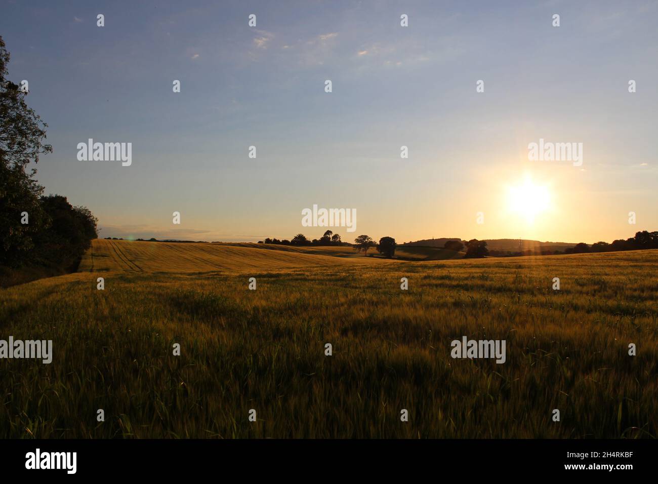 Getting low hi-res stock photography and images - Alamy