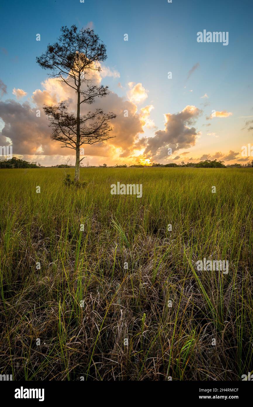 Dramaic hi-res stock photography and images - Alamy