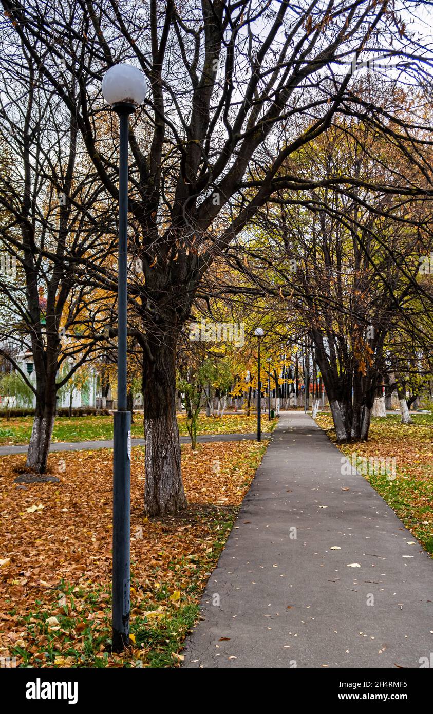 Asphalt path hi-res stock photography and images - Alamy