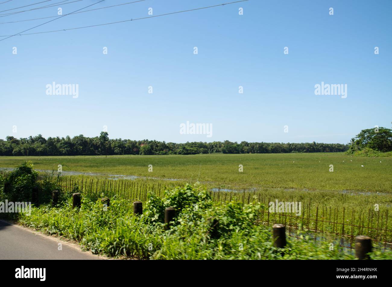 strong waves in Cola beach in goa Stock Photo - Alamy