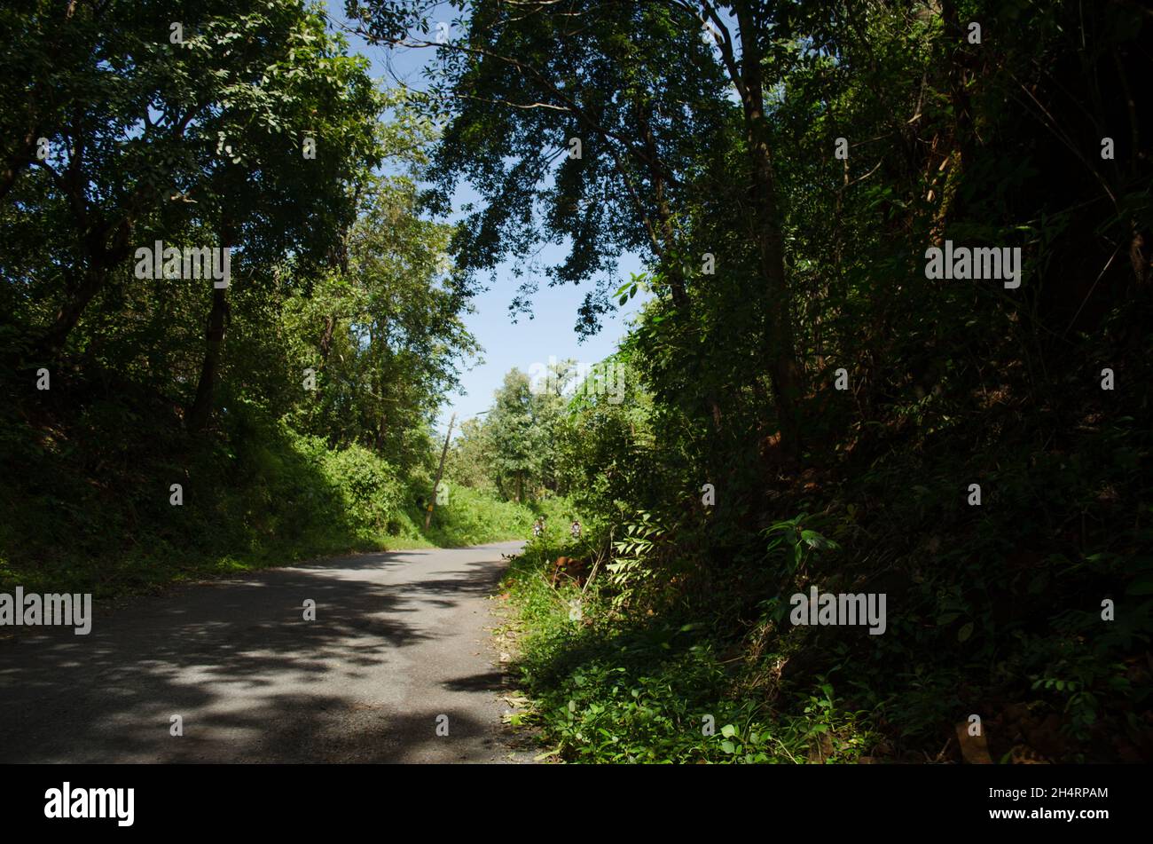 strong waves in Cola beach in goa Stock Photo - Alamy