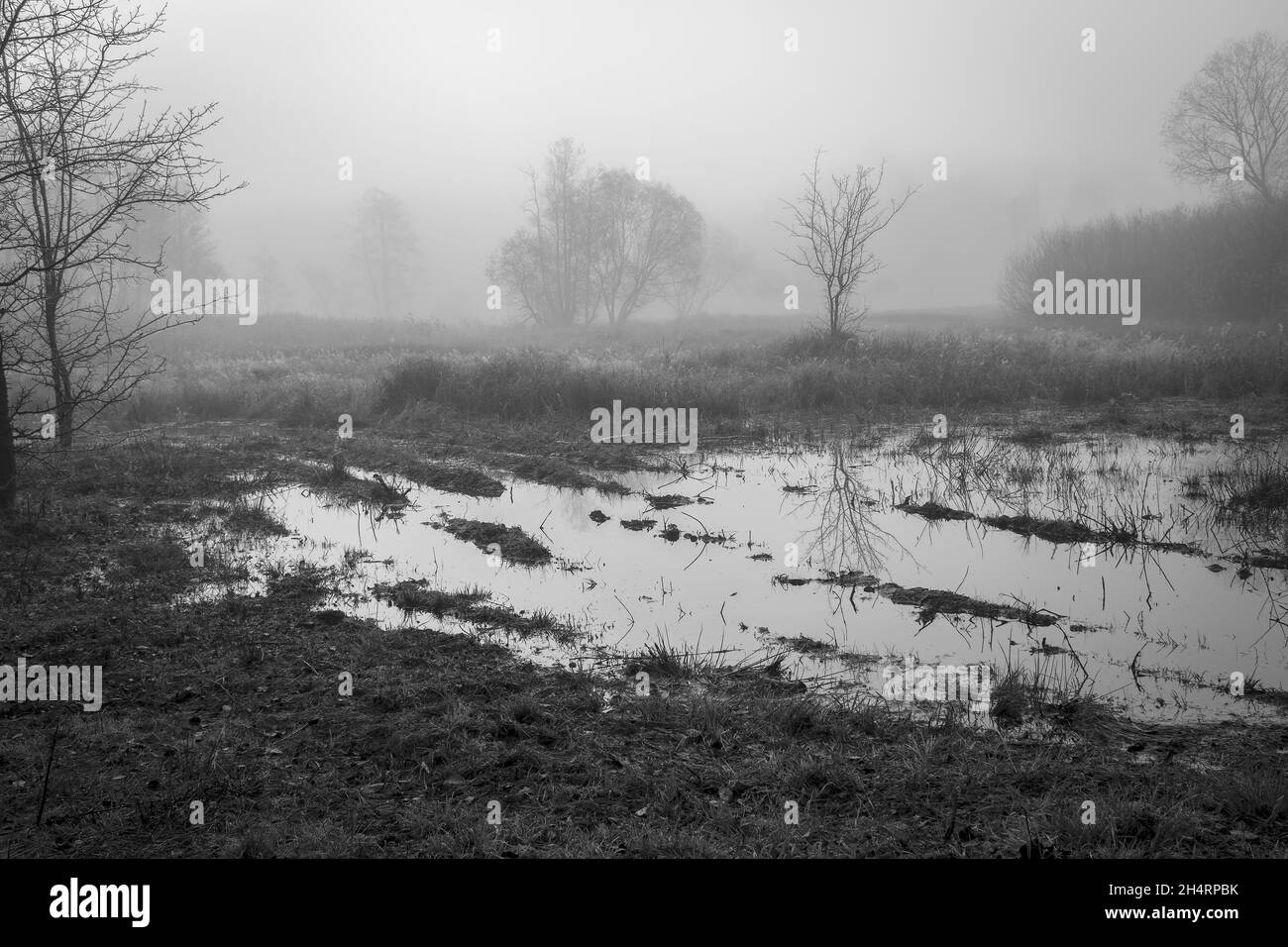 Covered with dirt Black and White Stock Photos & Images - Alamy