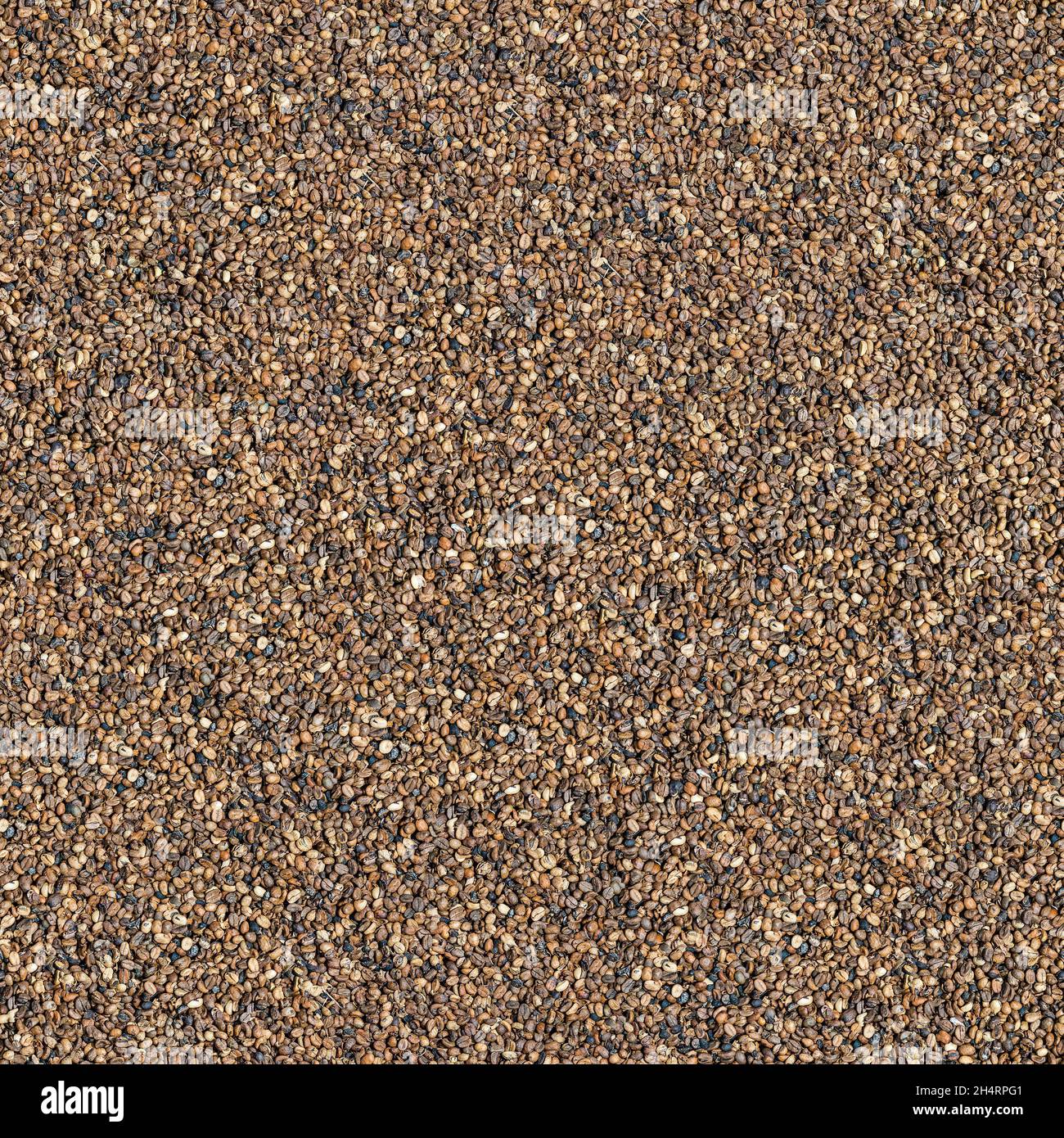 Texture gravel pavement. High resolution Stock Photo - Alamy