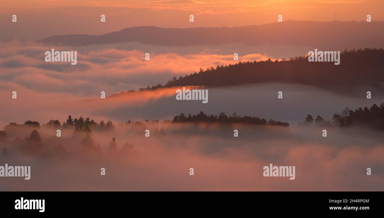Back lit scene hi-res stock photography and images - Alamy