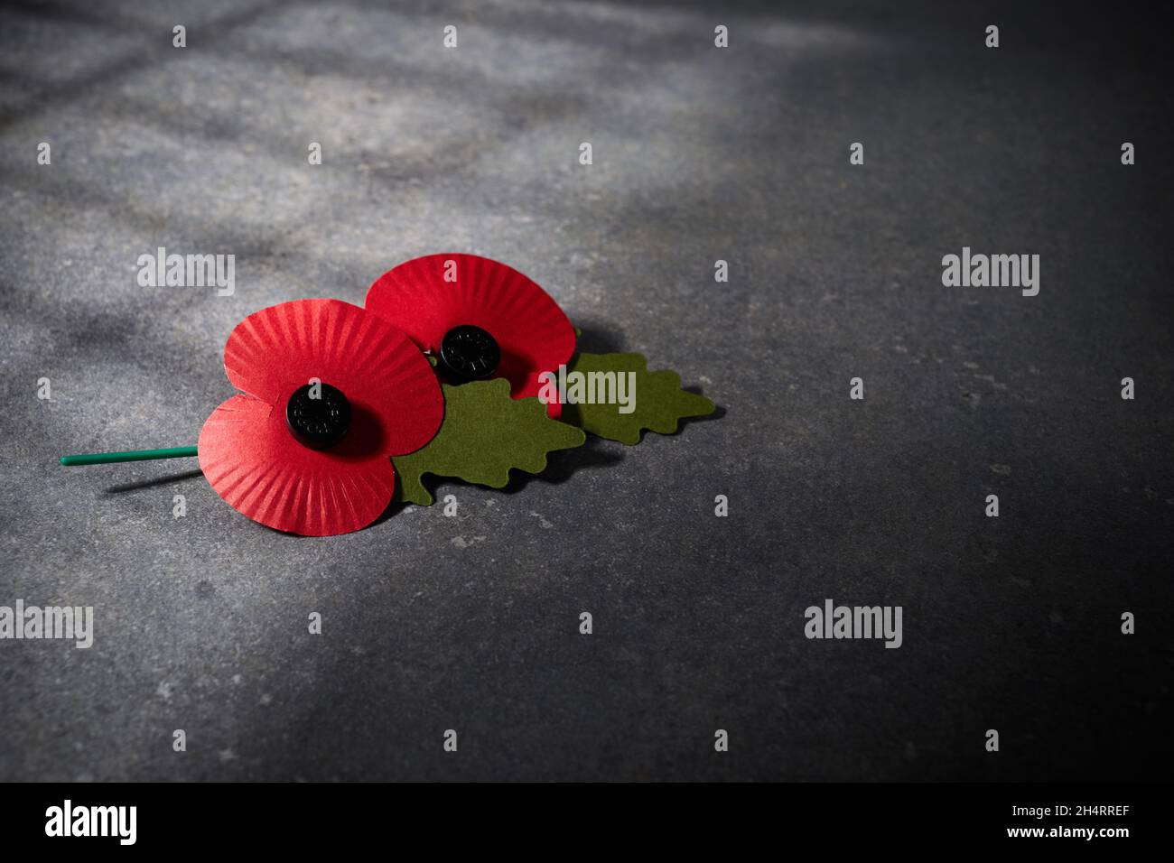 World War remembrance day. Red poppy is symbol of remembrance to those ...