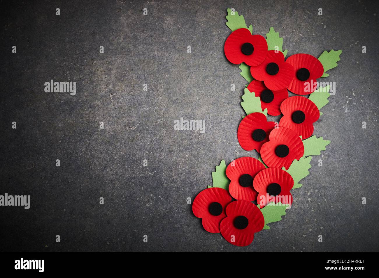 World War remembrance day. Red poppy is symbol of remembrance to those ...