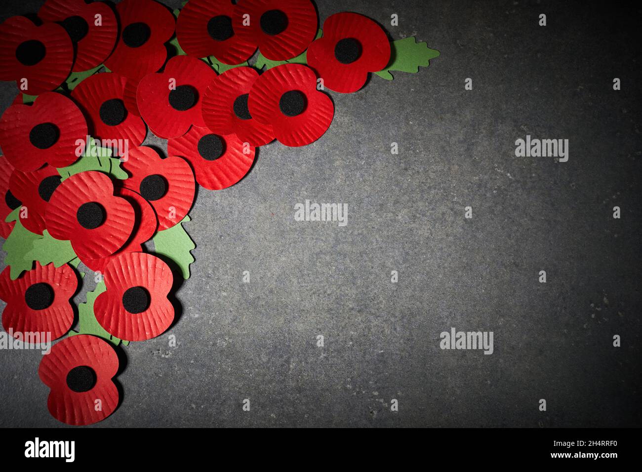 World War remembrance day. Red poppy is symbol of remembrance to those ...