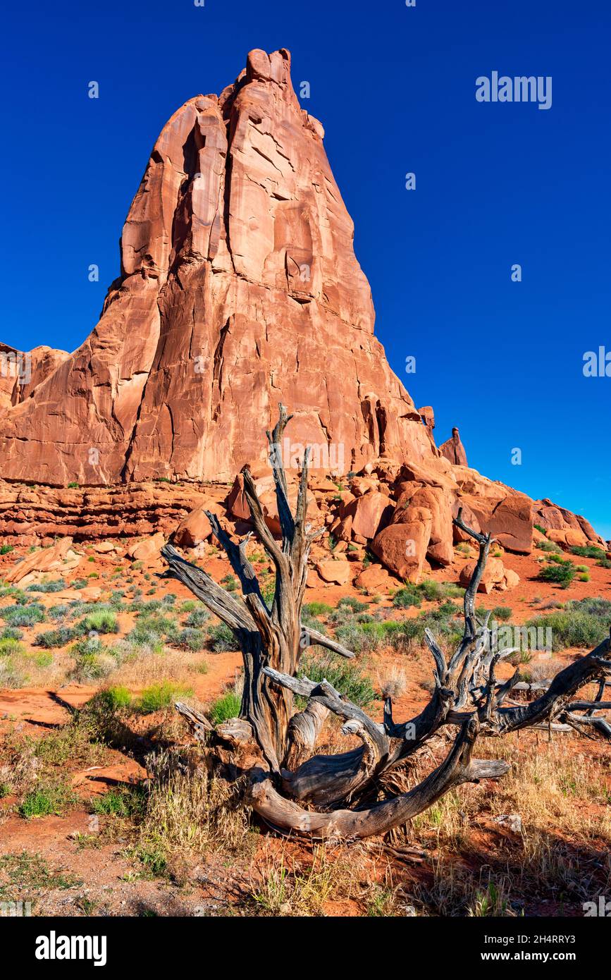 Dead nation hi-res stock photography and images - Alamy