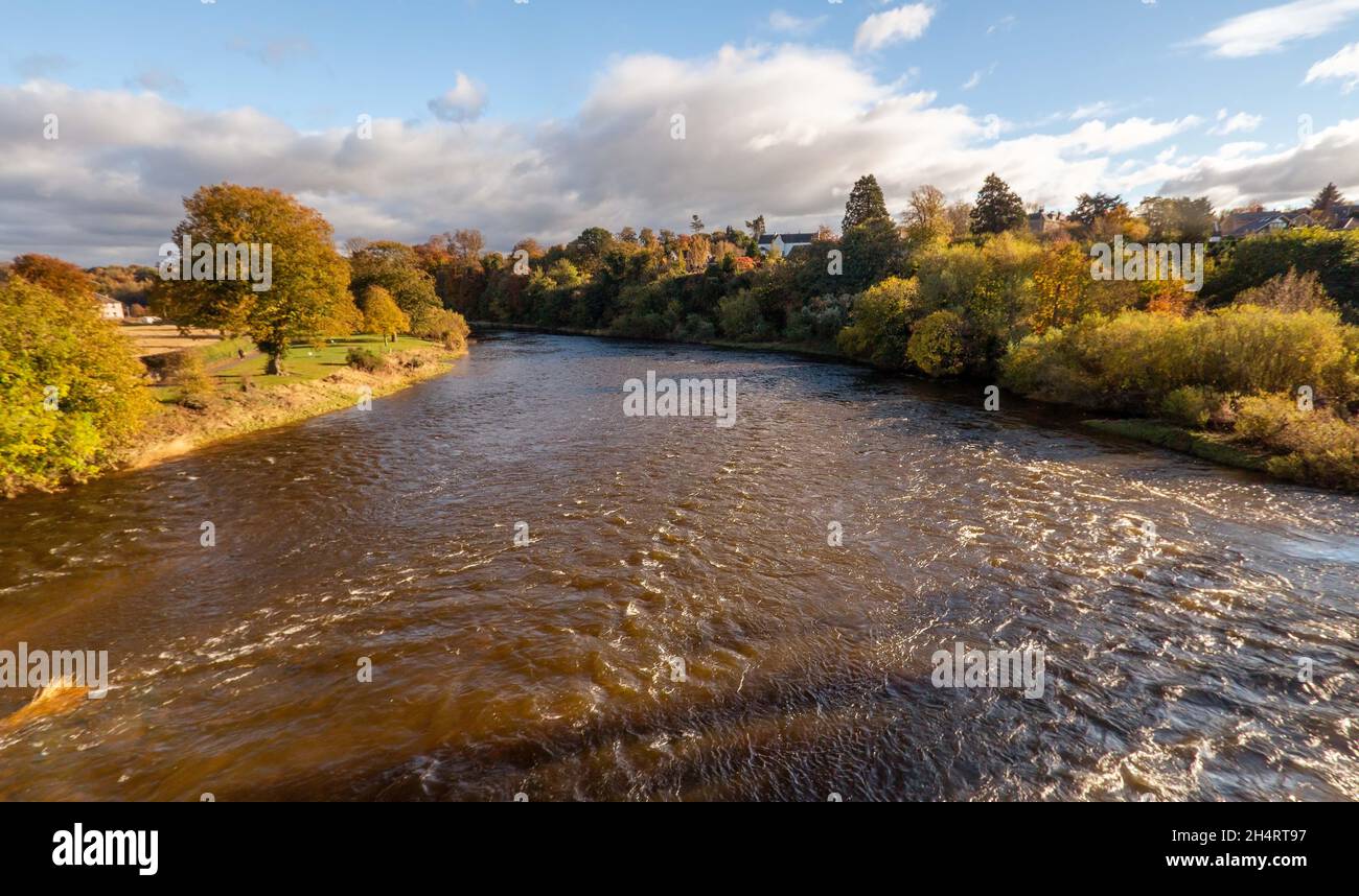 River Tweed in Kelso, Scottish Borders, Scotland, UK Stock Photo - Alamy