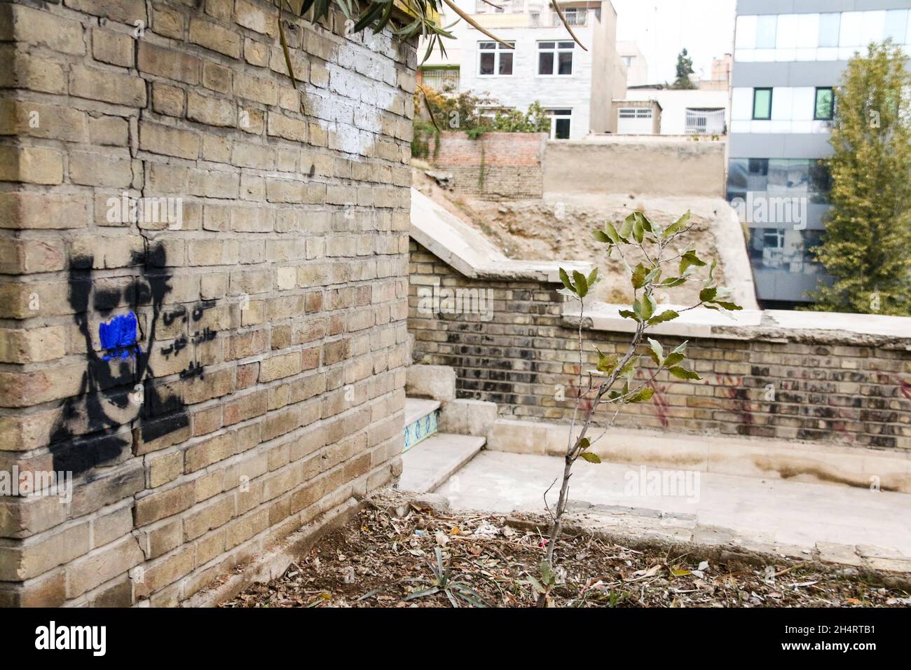 Graffiti is an art that is usually banned in Iran. Artists draw their ...