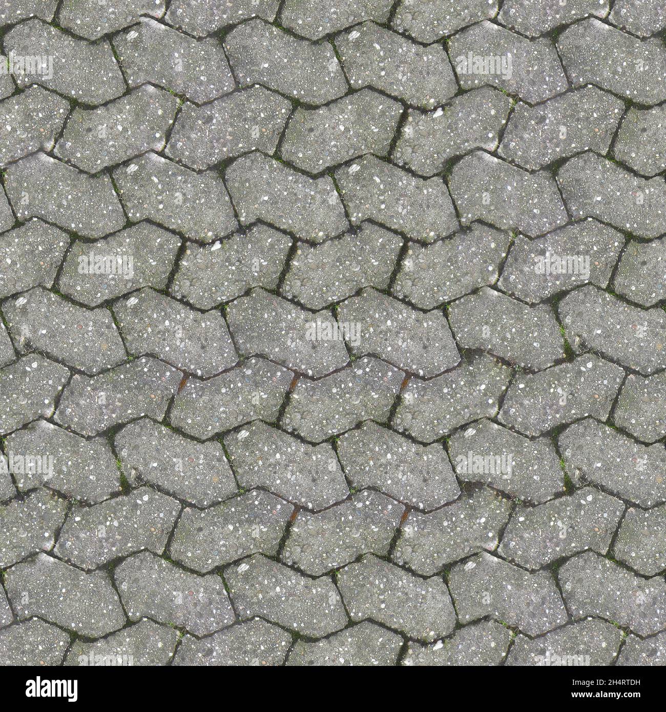 Texture Figured Paving Slabs. Seamless Texture. High resolution Stock ...
