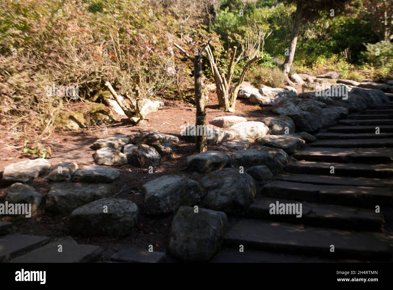 Stone path and stairway through the rockery at Cragside, Rothbury ...