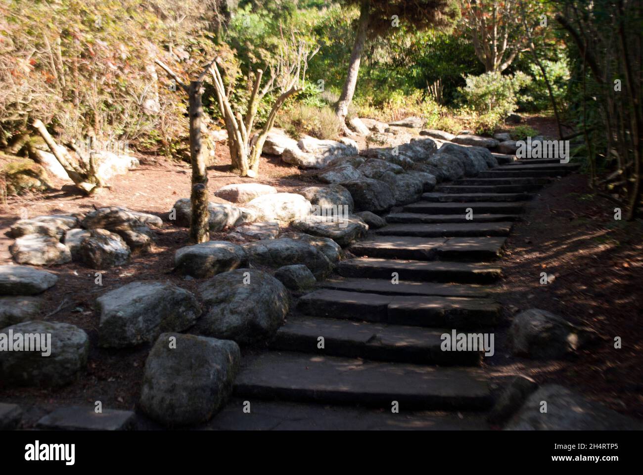 Stone path and stairway through the rockery at Cragside, Rothbury ...