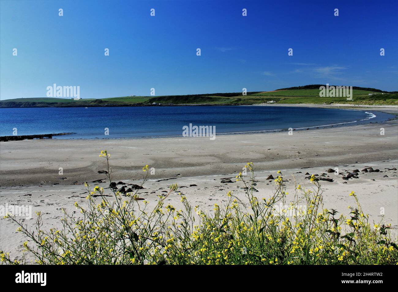 Logan scotland hi-res stock photography and images - Alamy