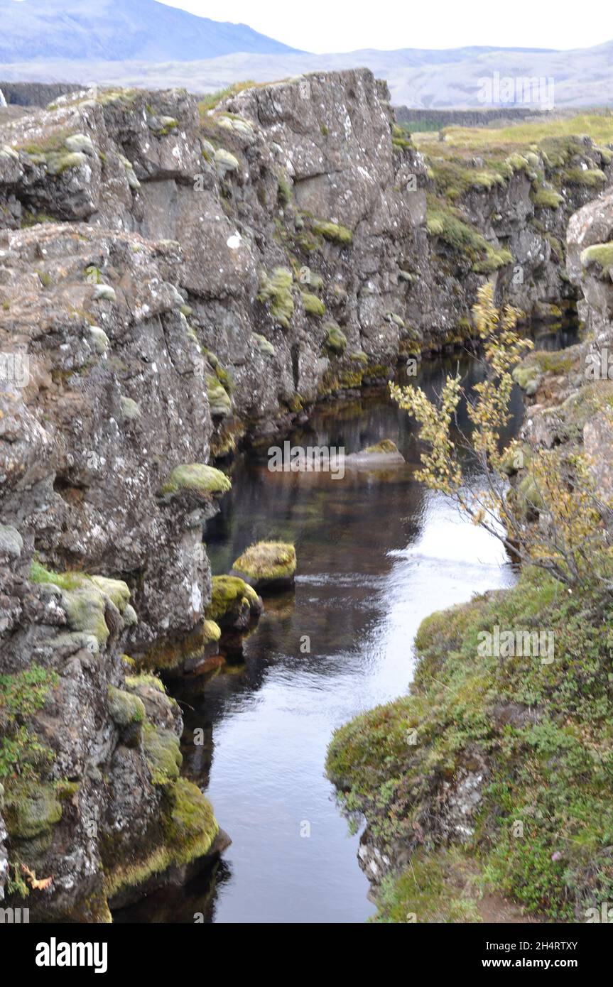 Fissures in rocks, due to separation of American (Caribbean) and ...