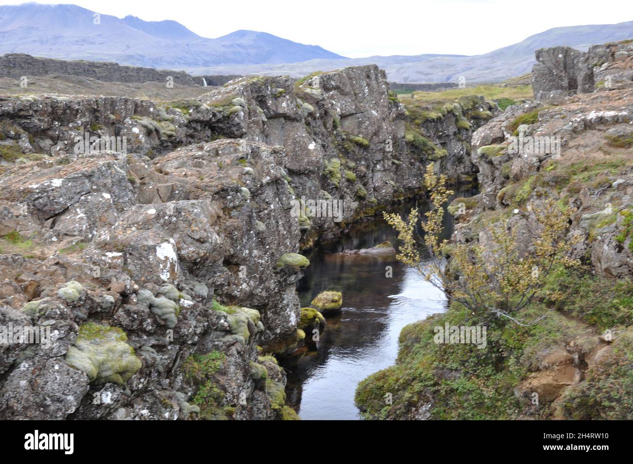 Fissures in rocks, due to separation of American (Caribbean) and ...