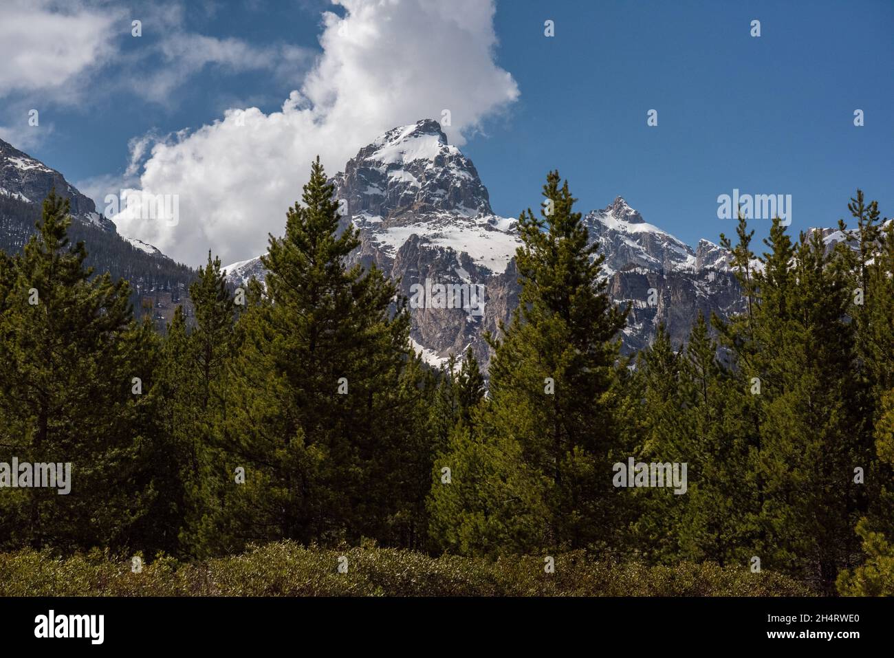 Grand teton national park trails hi-res stock photography and images ...