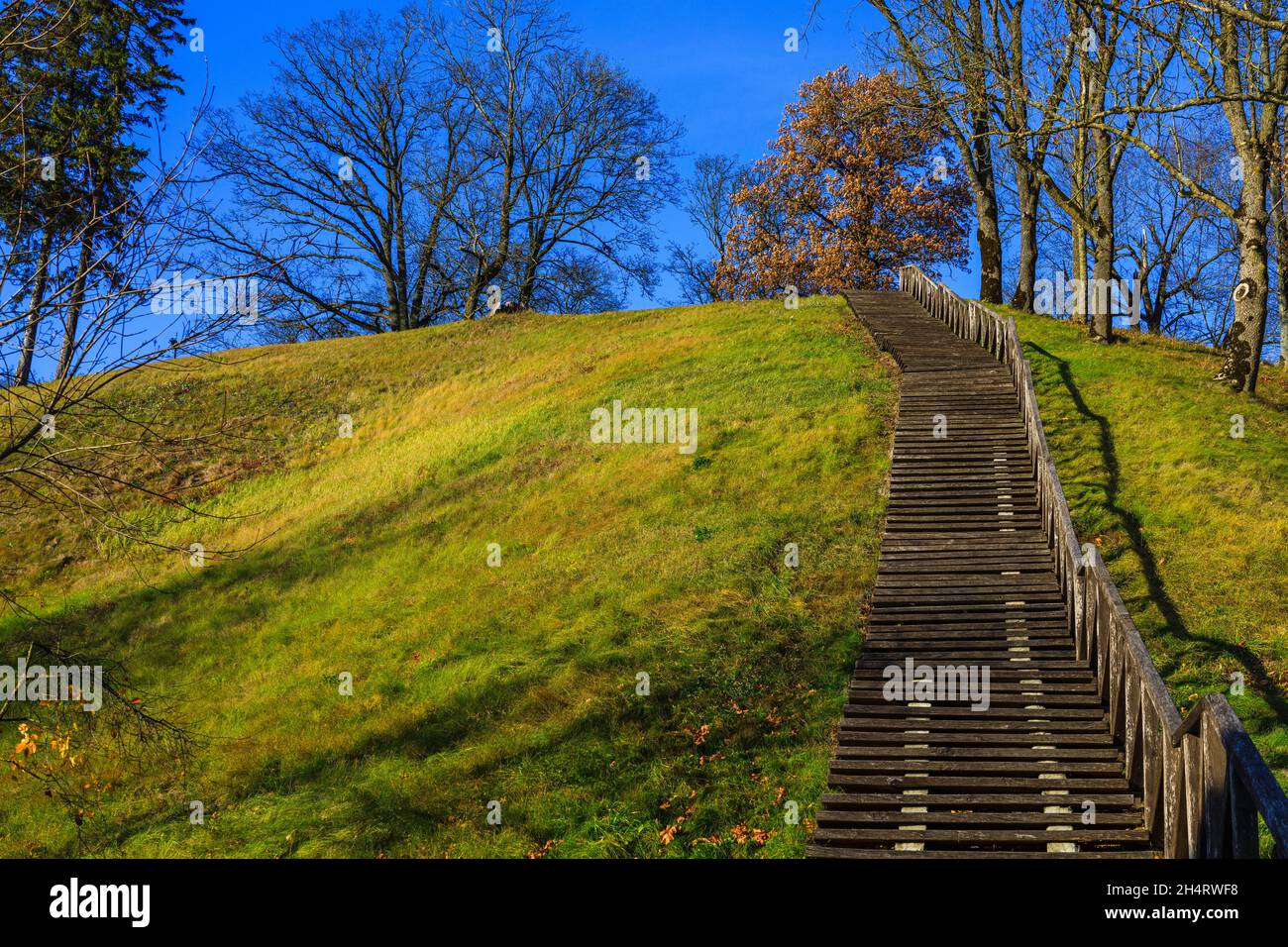a wooden staircase with leaning weathered steps and a railing rises to ...