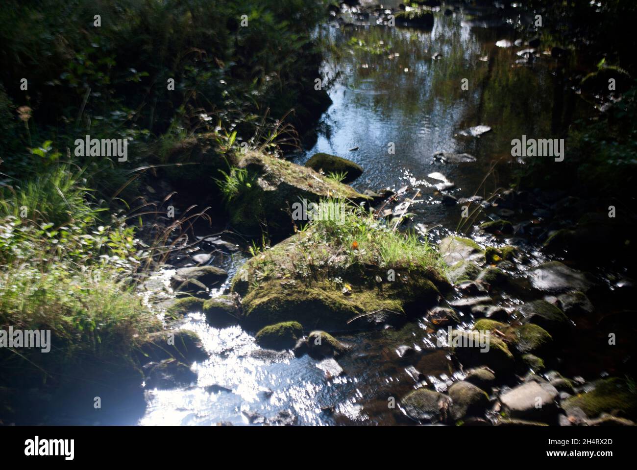 Rothbury northumberland river hi-res stock photography and images - Alamy