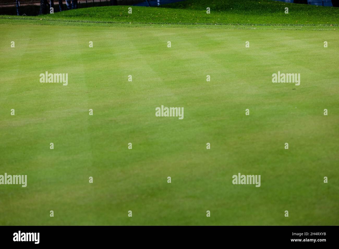 Green grass. Background. Golf course, shadows from trees on the grass ...