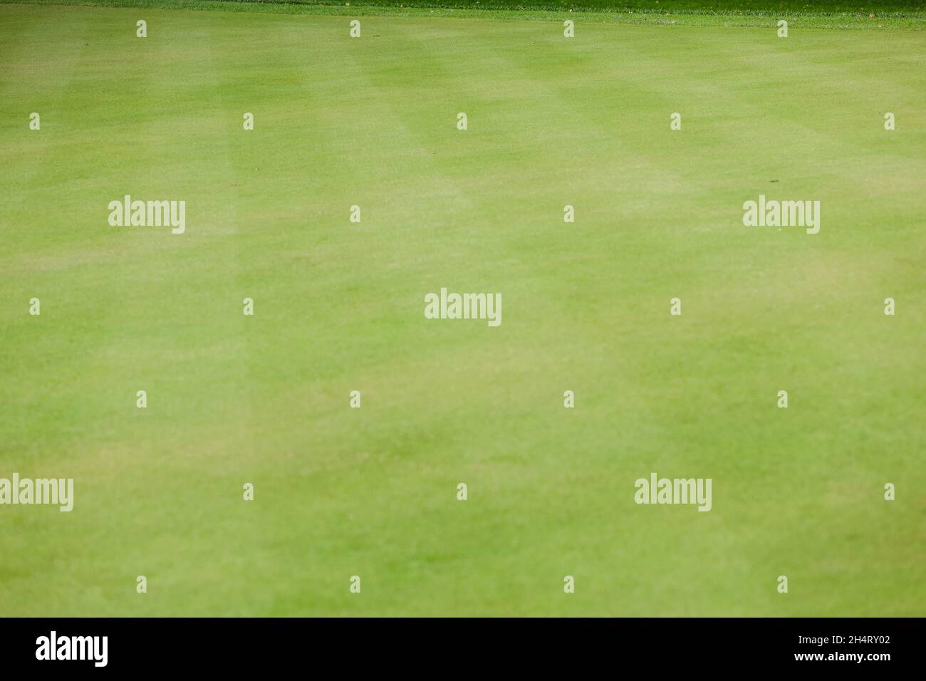 Green grass. Background. Golf course, shadows from trees on the grass ...