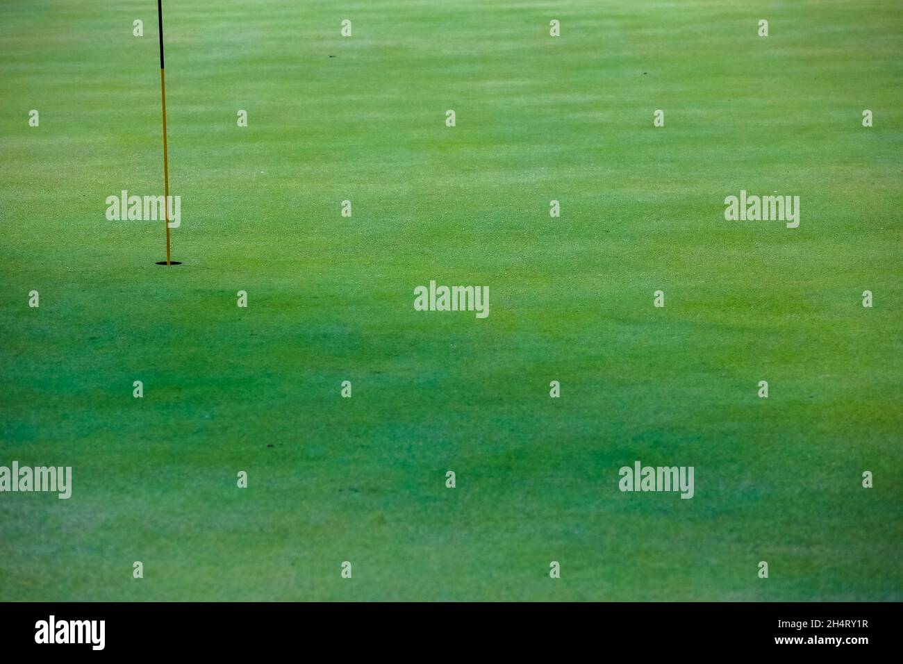 Green grass. Background. Golf course, shadows from trees on the grass ...