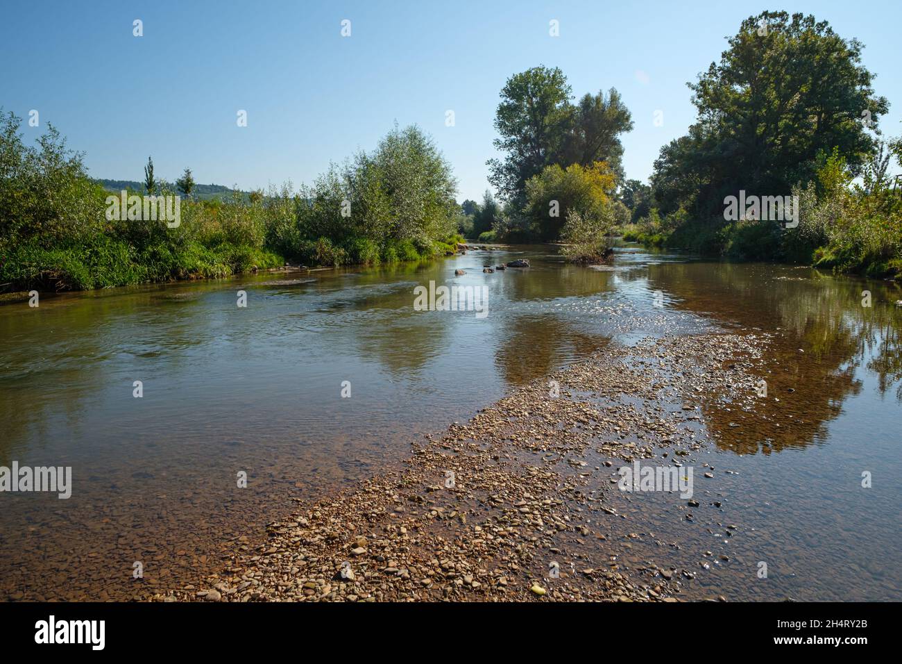 View of River Rems with trees and pebbles, Germany Stock Photo - Alamy