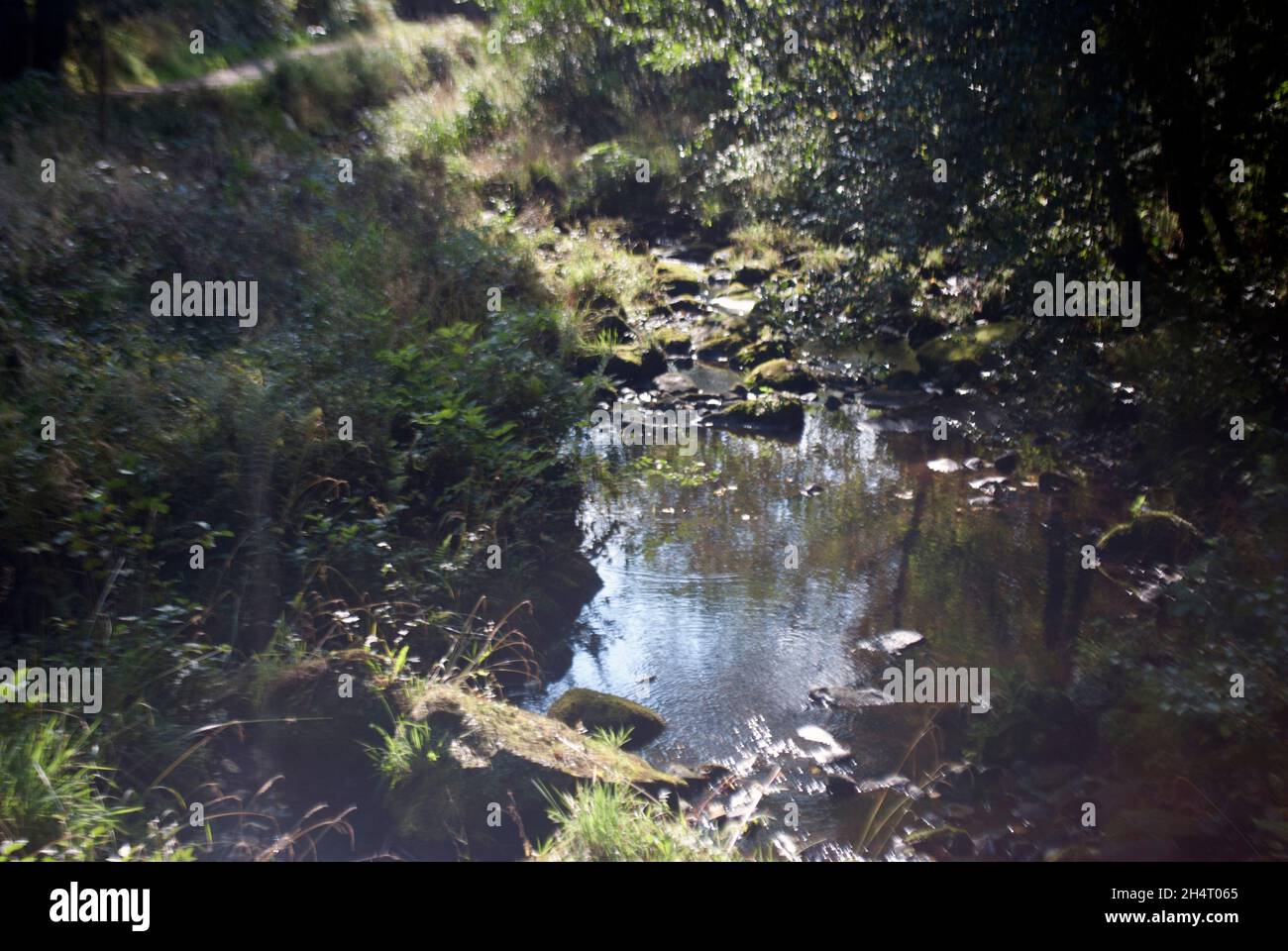 Rock filled stream at Cragside, Rothbury, Northumberland, England, UK ...
