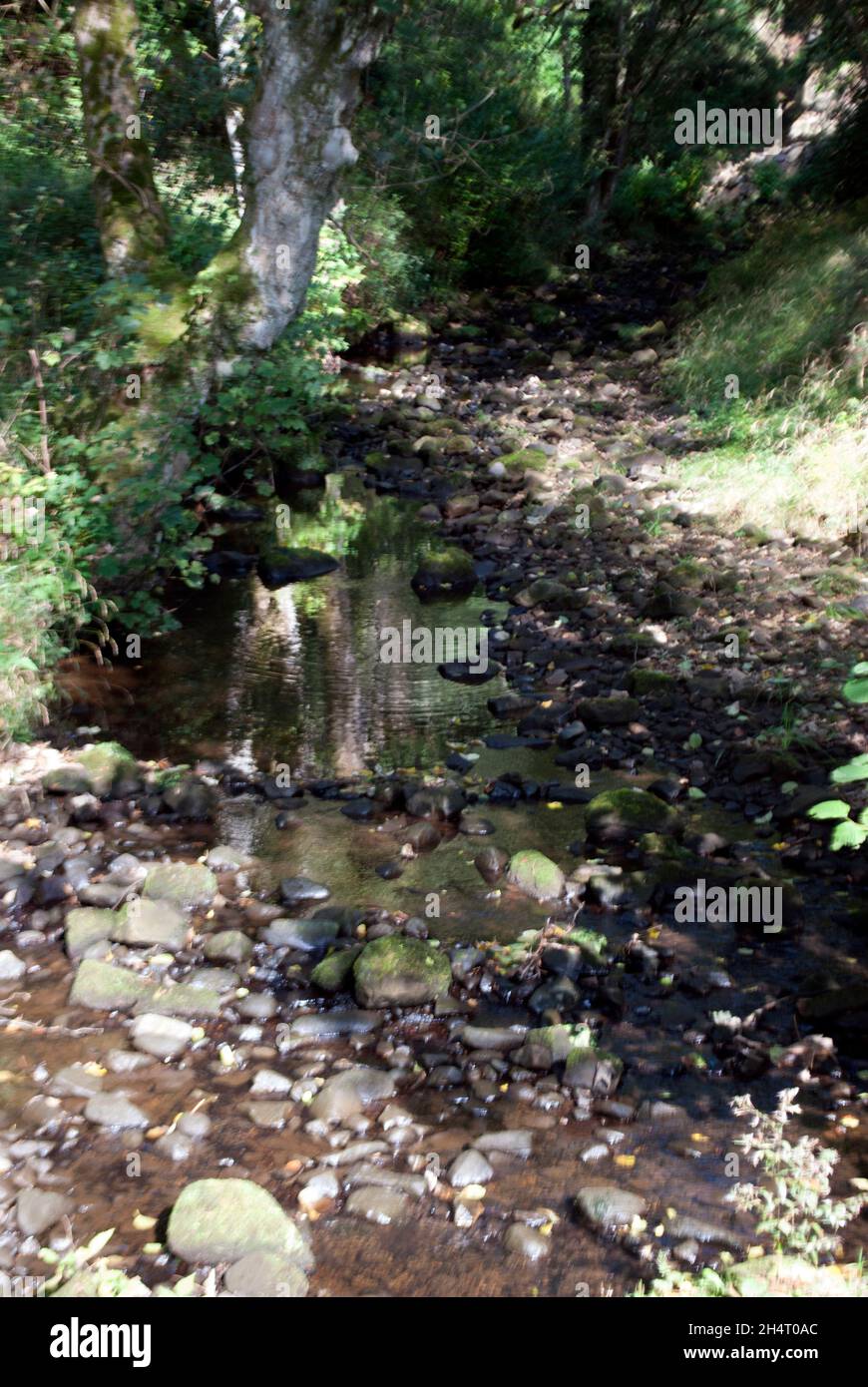 Rock filled stream at Cragside, Rothbury, Northumberland, England, UK ...