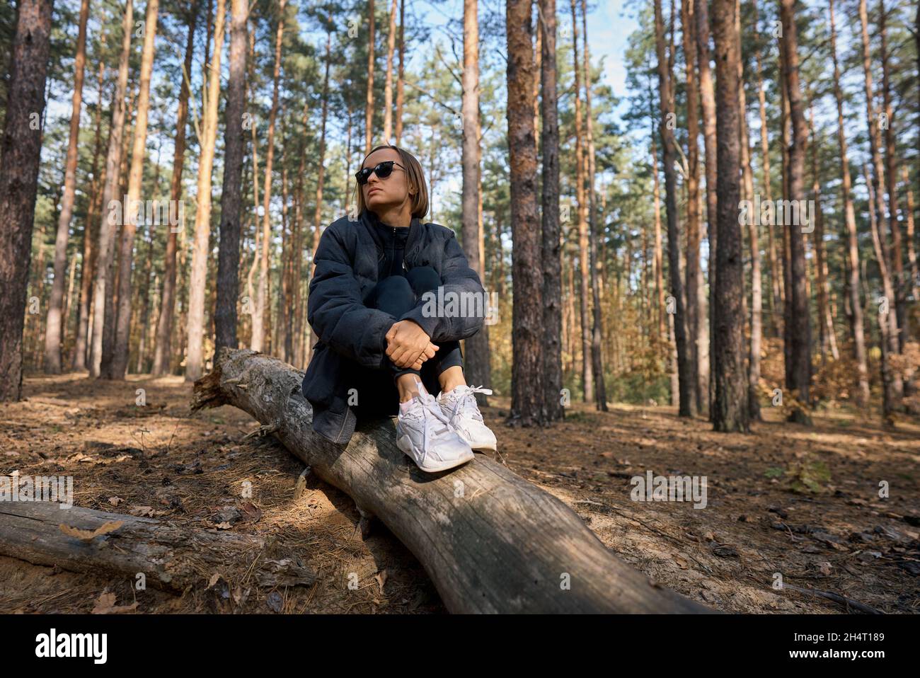 Girl sitting on a log in a pine forest in autumn Stock Photo - Alamy