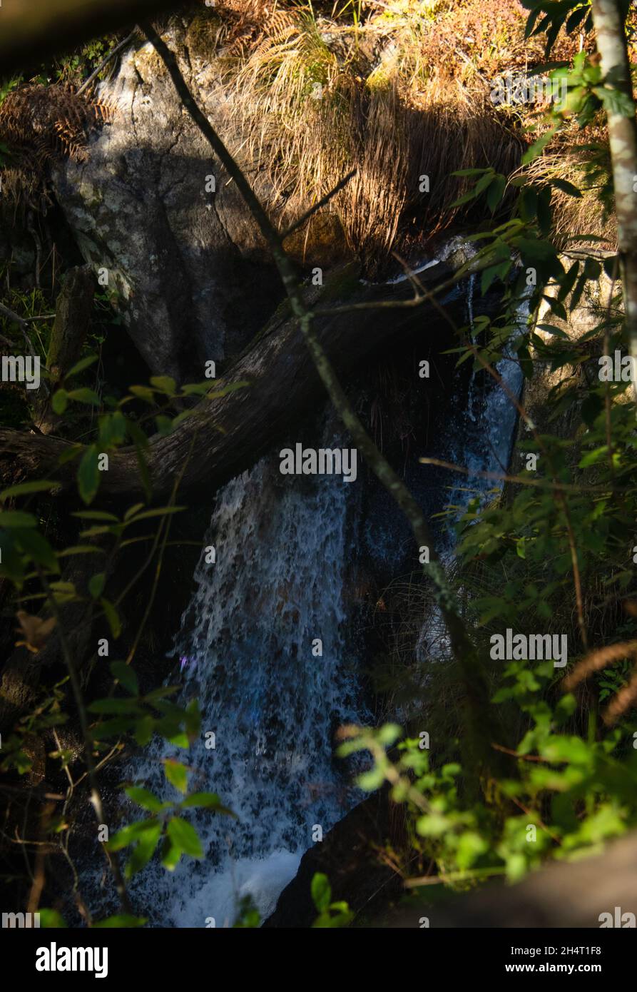 Hidden nature hi-res stock photography and images - Alamy