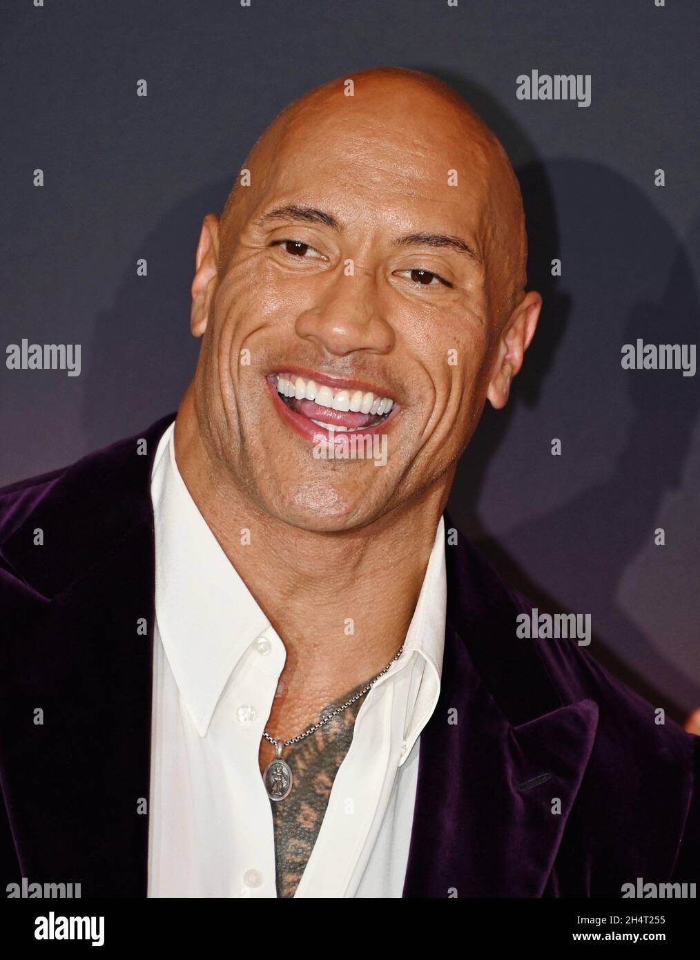 LOS ANGELES, CA - NOVEMBER 03: Dwayne Johnson attends the World ...