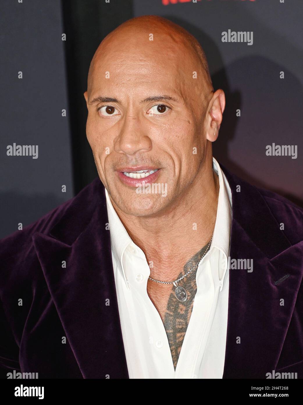 LOS ANGELES, CA - NOVEMBER 03: Dwayne Johnson attends the World ...