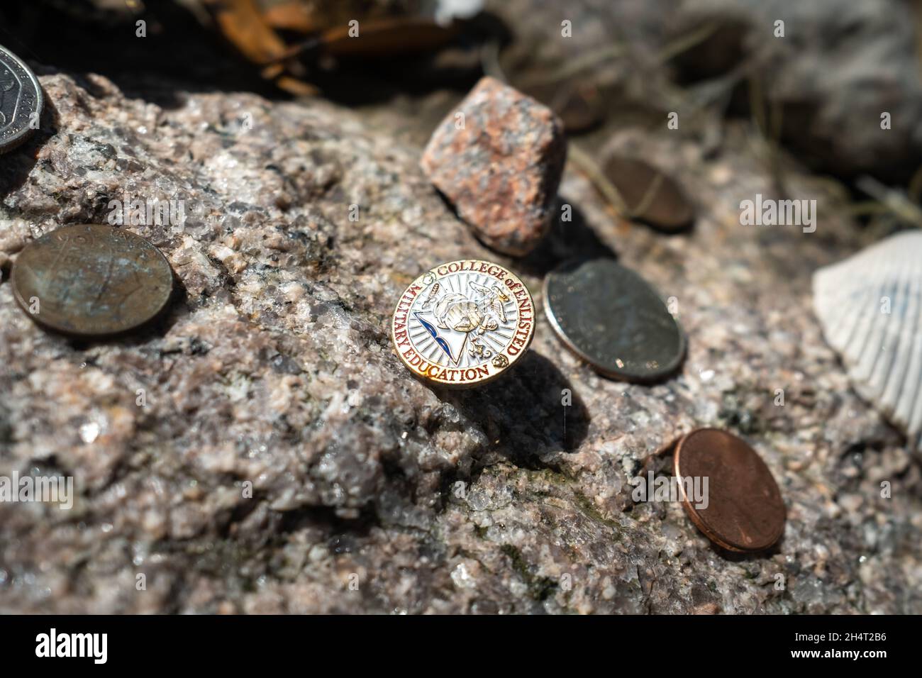 Pat Conroy's grave and Literary Center are popular tourist destinations ...